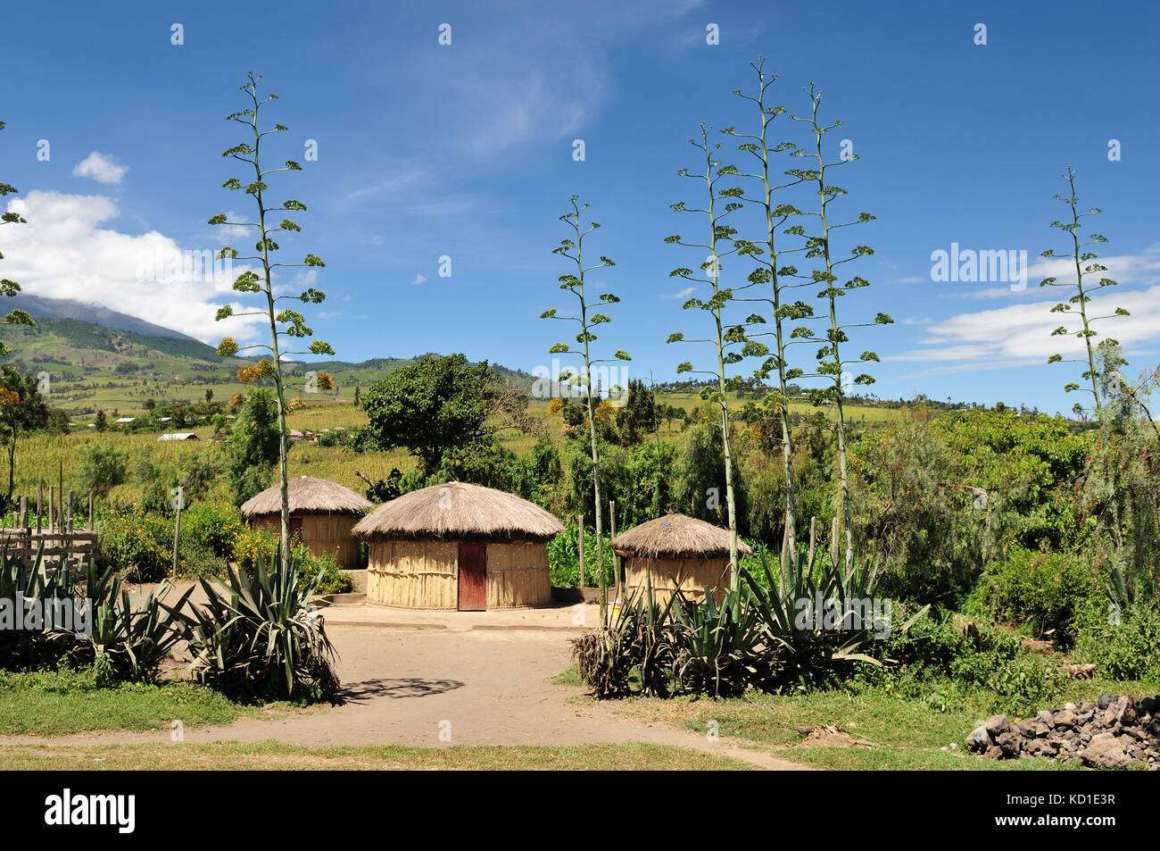 Traditional african mud house grass hi-res stock photography and images ...