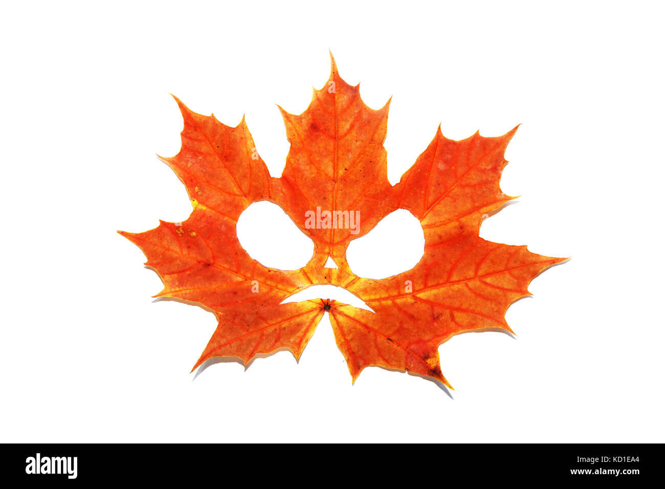 Face on a maple leaf. The symbol of Halloween. Isolated on white Stock ...