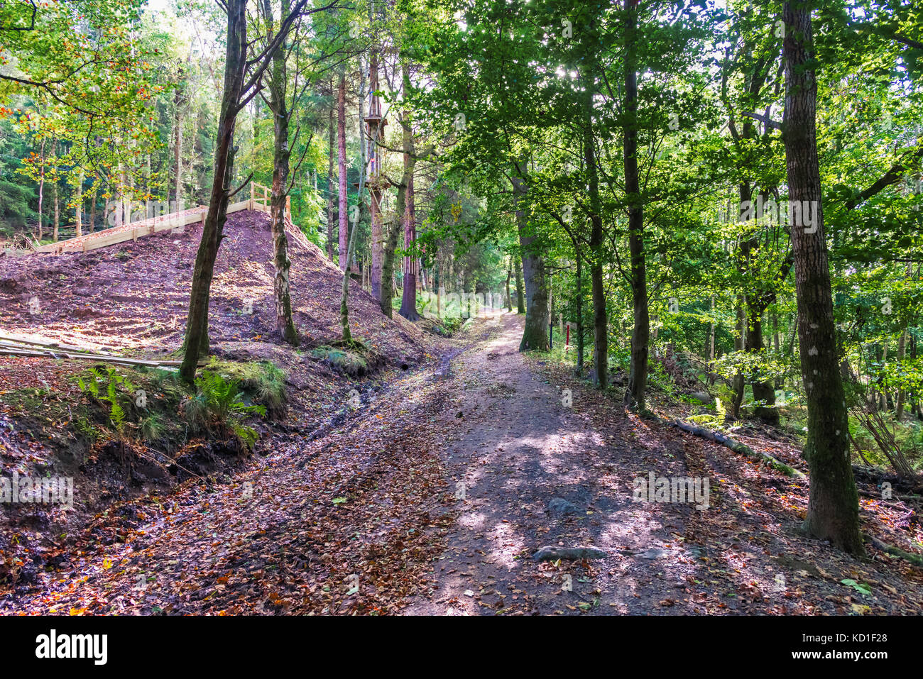 A long footpath throiugh a Scottish forrest and you come apon a ...