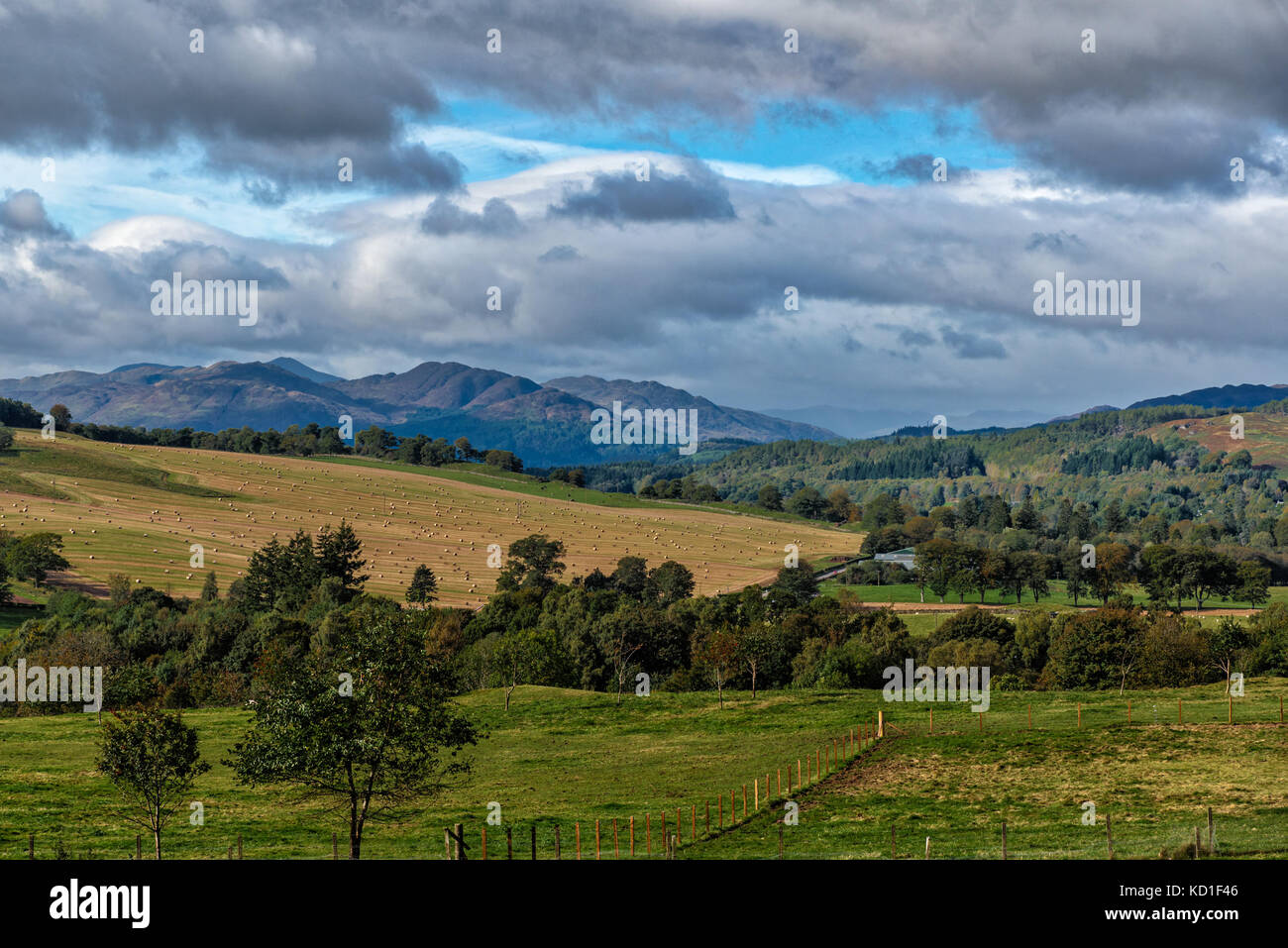 Cattle drovers scotland hi-res stock photography and images - Alamy