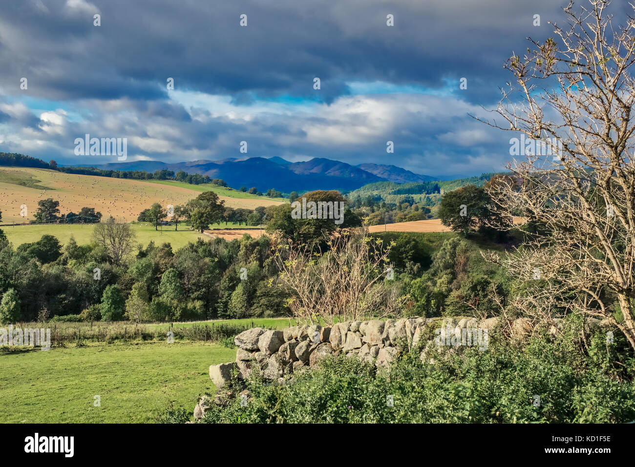 Scotland Over Dry Stone Walls Fields and Mountains. The stone wall ...