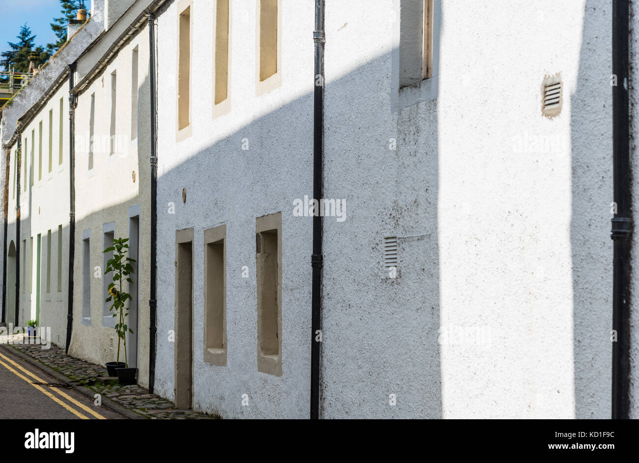 Scottish Typical Terraced Village Houses with a single green plant type ...