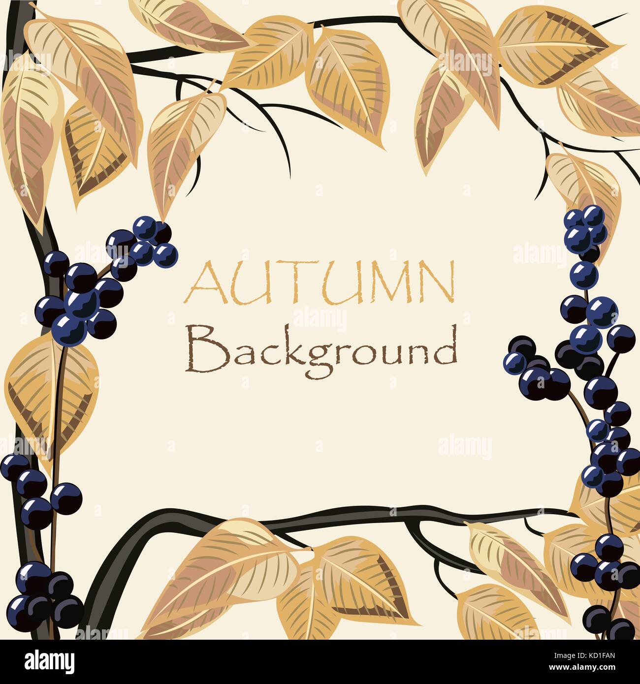 Birch Stock Vector Images - Alamy