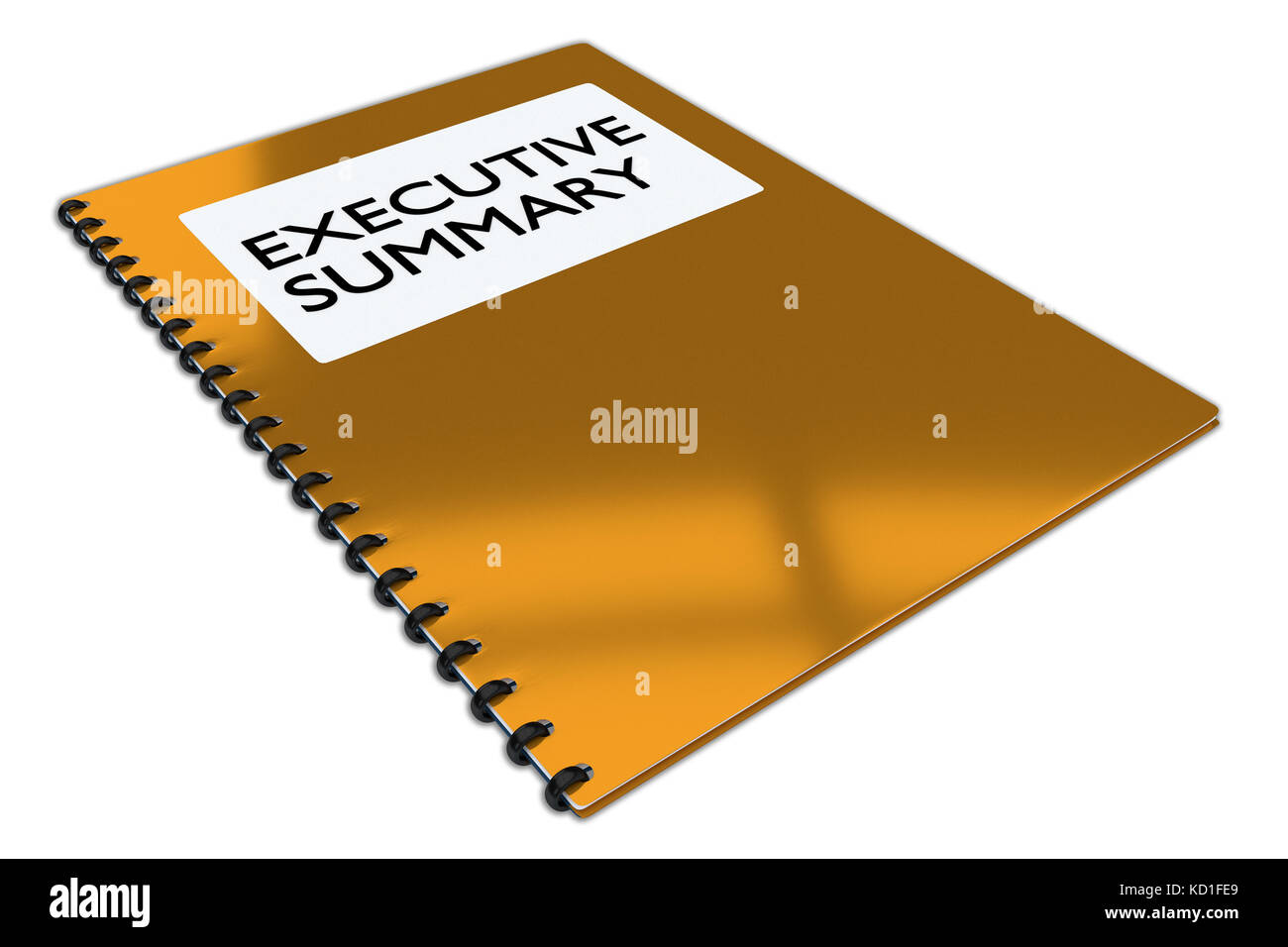 3D illustration of "EXECUTIVE SUMMARY" script on a book, isolated on ...