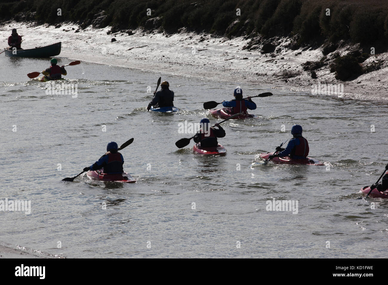 Cuckmere Estuary, Cuckmere Haven, area of flood plains in East Sussex ...
