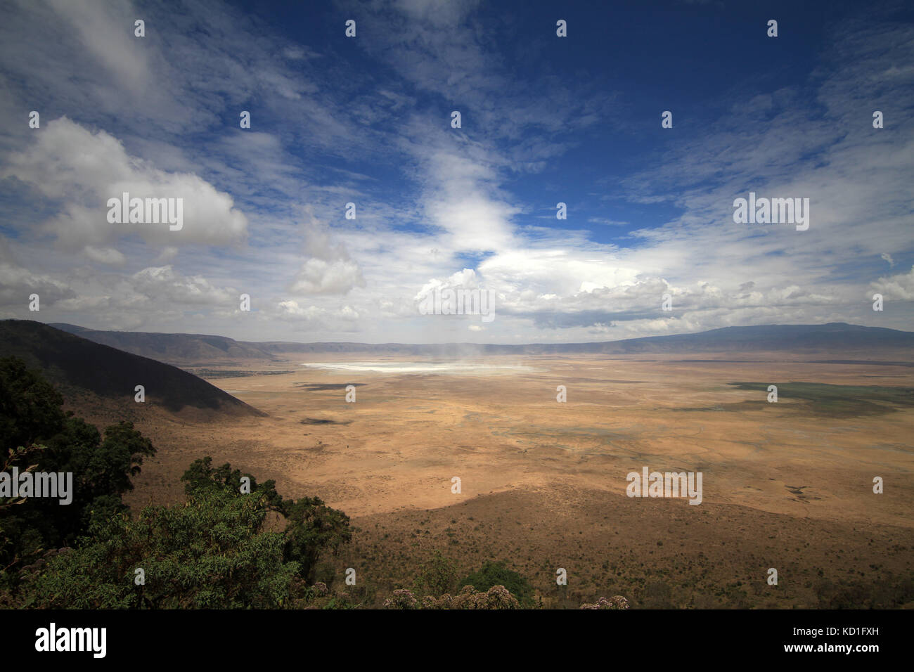 Ngoro Ngoro crater safari Tanzania Stock Photo - Alamy
