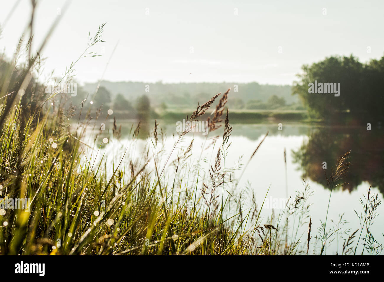 Romantic morning landscape with lake and tree reflections on it Stock ...
