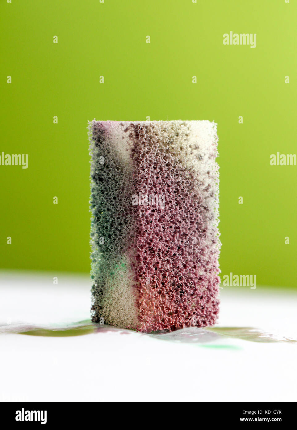 picture of a Sponge with watercolor paint. color concept Stock Photo ...