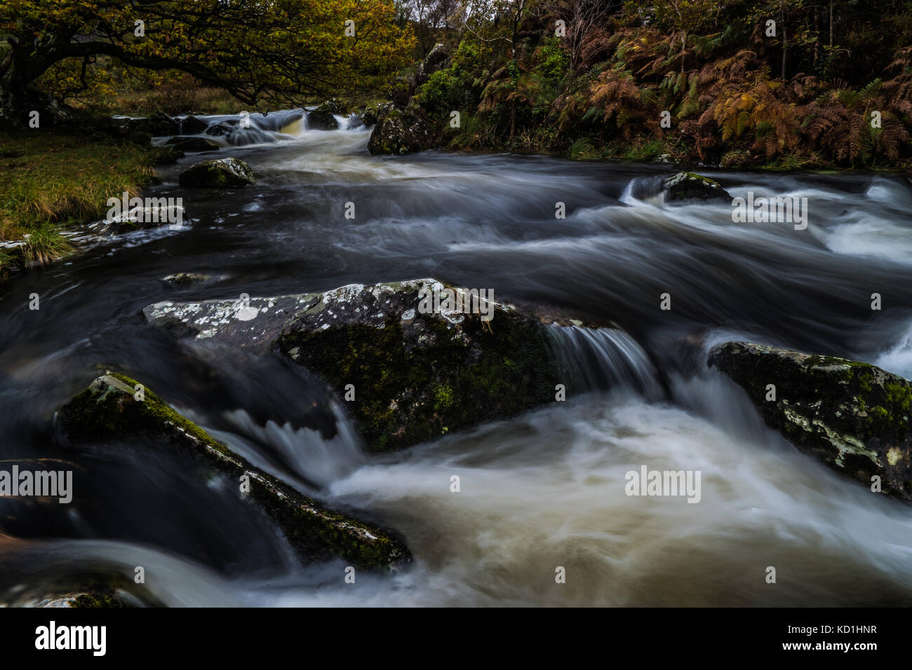 Fast flowing stream with white water in North Wales in autumn Stock ...