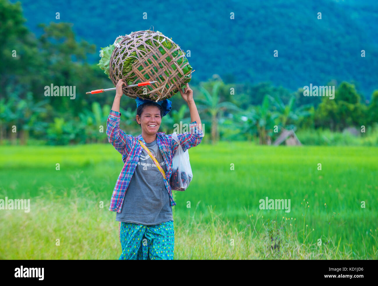 Portrait of Burmese farmer in Shan state Myanmar Stock Photo - Alamy