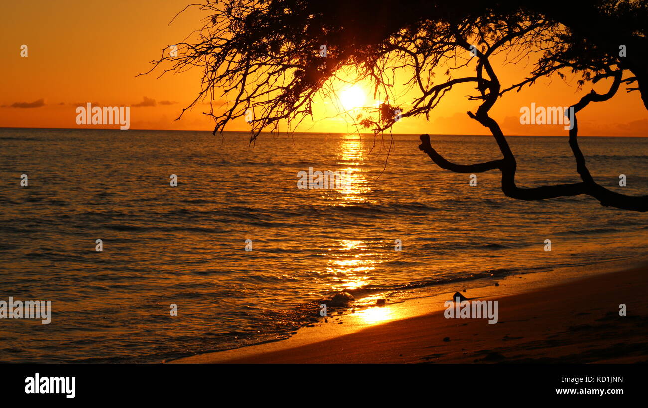 Maui sunset hi-res stock photography and images - Alamy