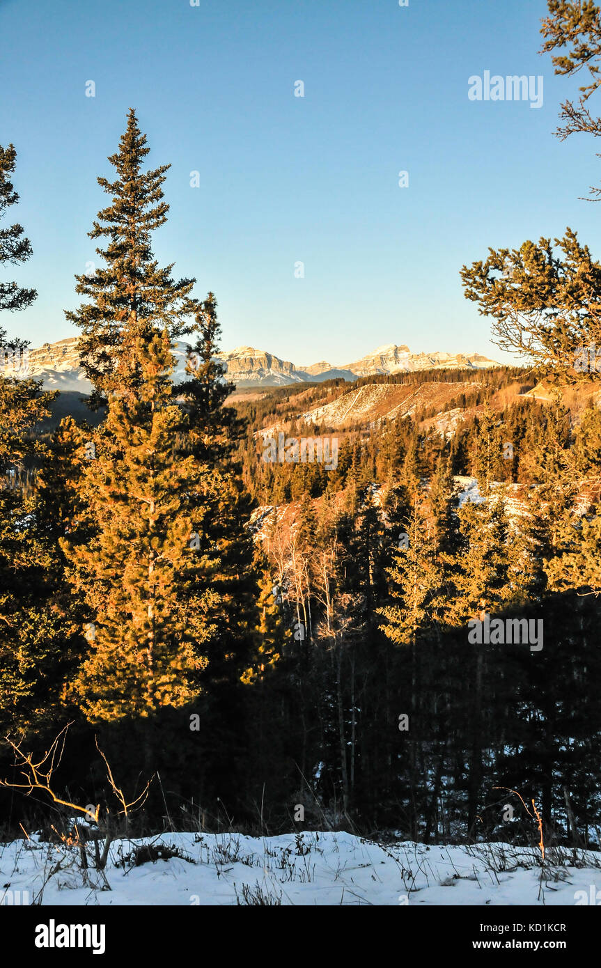 Canada boreal forest landscape hi-res stock photography and images - Alamy