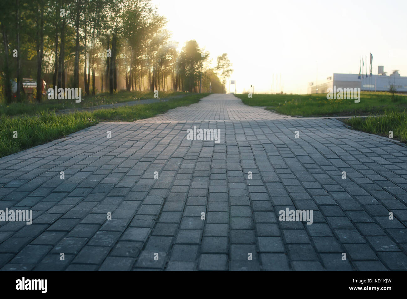 paving stone path goes away the prospect in the sunset Stock Photo - Alamy