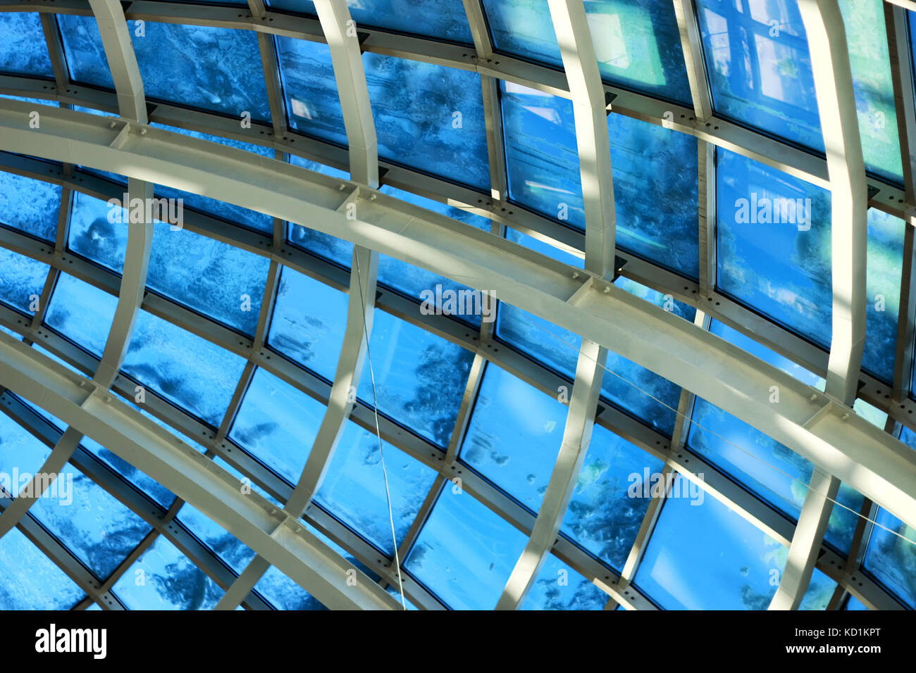 building glass construction roof Stock Photo - Alamy