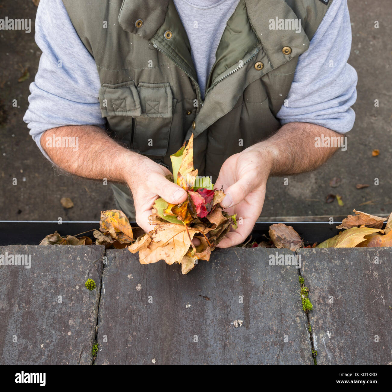 Cleaning autumn leaves hi-res stock photography and images - Alamy