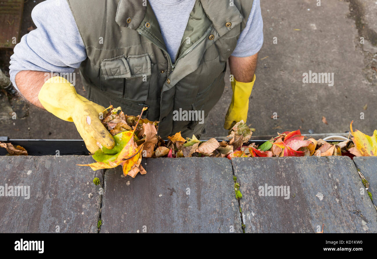 From gutter hi-res stock photography and images - Alamy