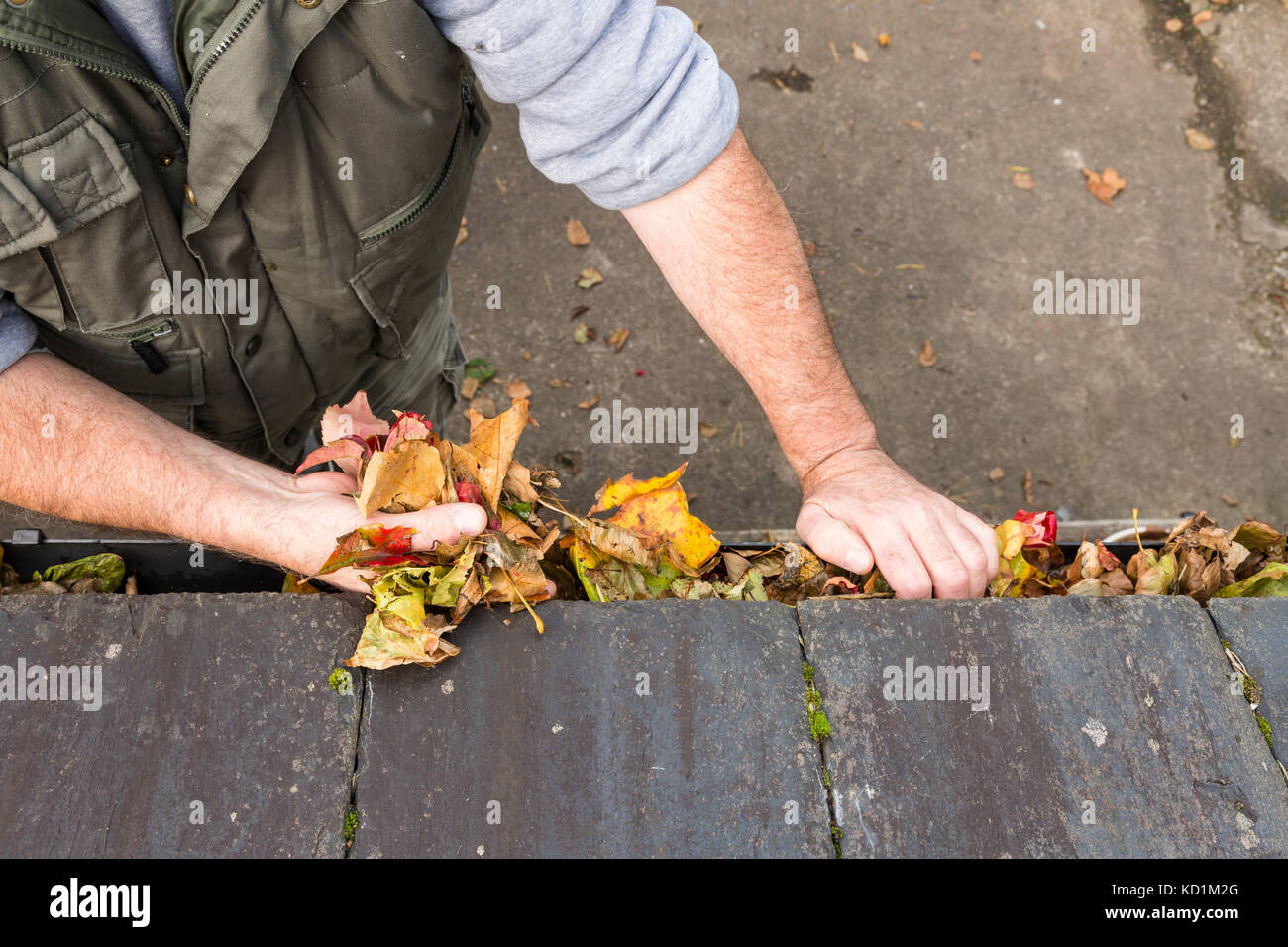 cleaning autumn leaves from gutter Stock Photo - Alamy