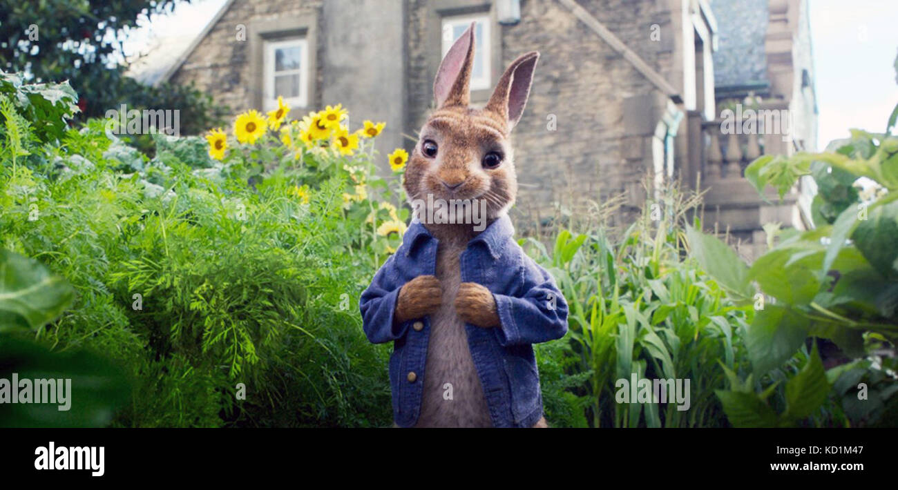 Peter rabbit hi-res stock photography and images - Alamy