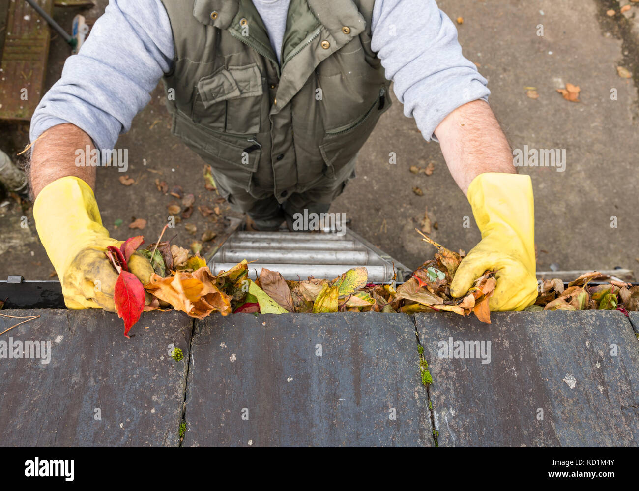 cleaning autumn leaves from gutter Stock Photo - Alamy