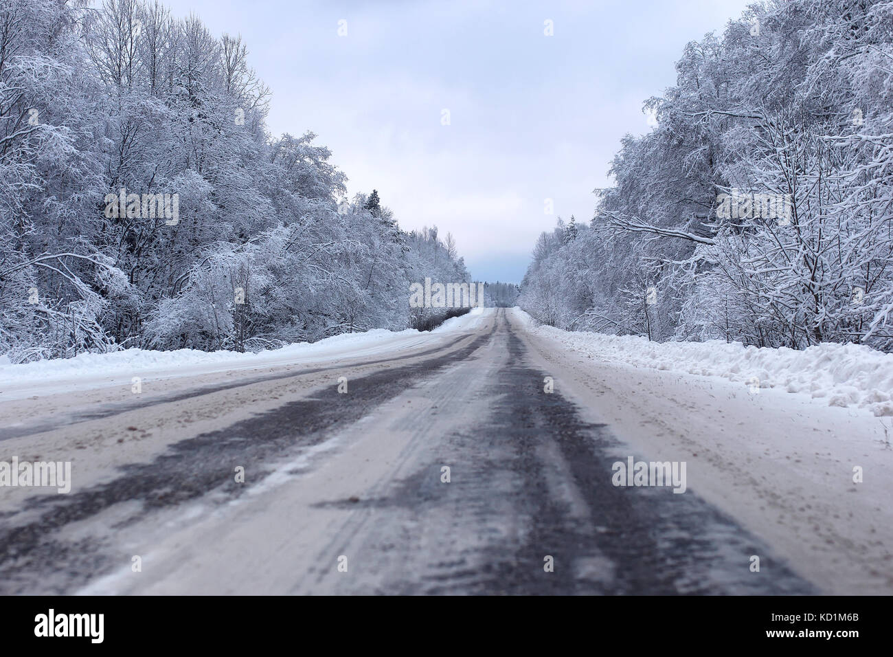 landscape Road in the winter forest with snow covered Stock Photo - Alamy