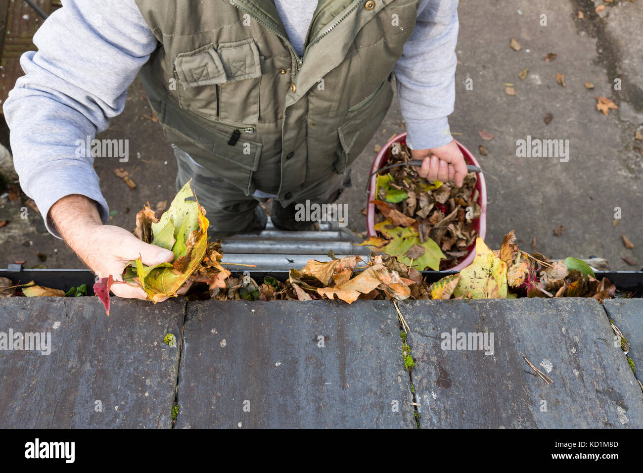 cleaning autumn leaves from gutter Stock Photo - Alamy