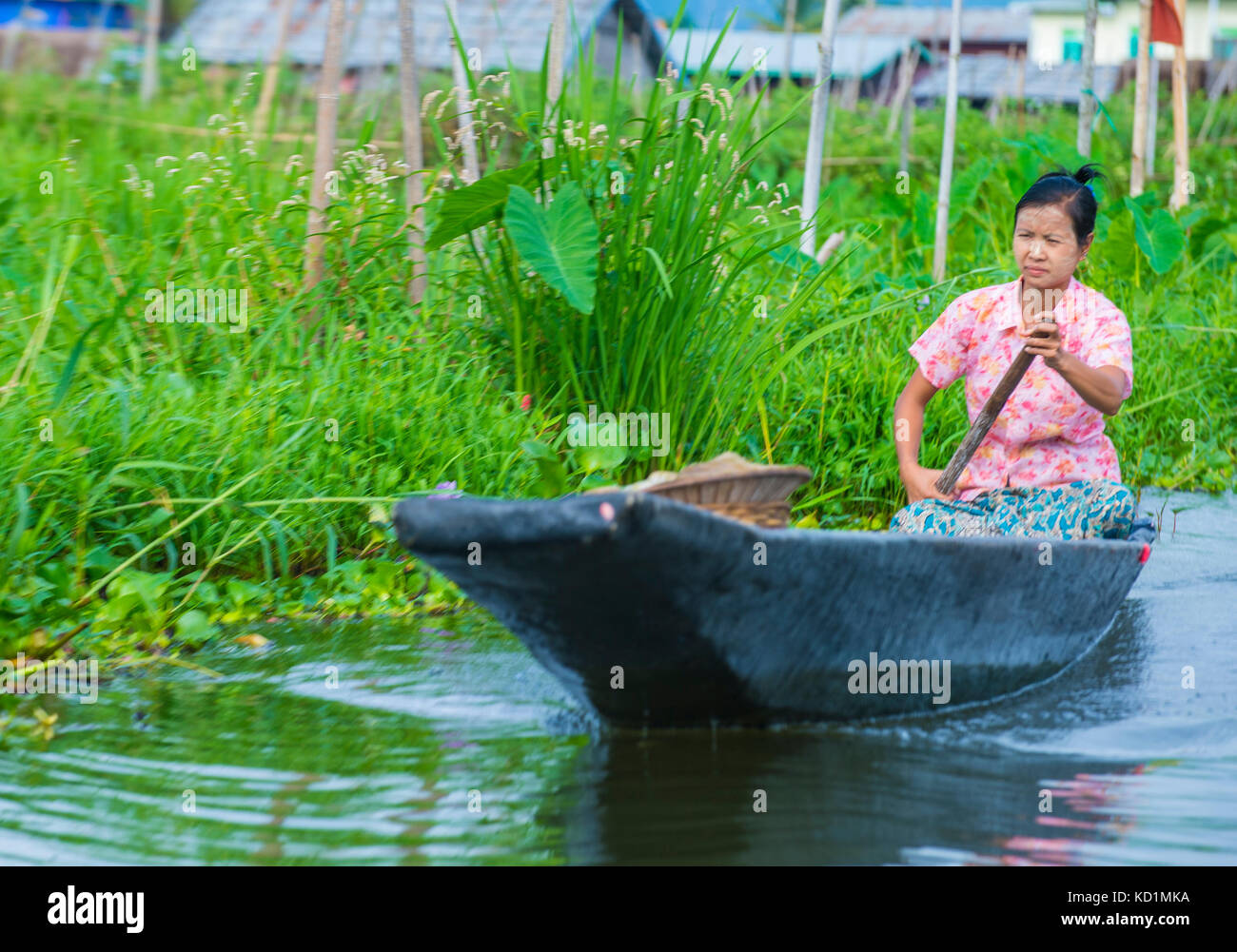 Intha woman on her boat in Inle lake Myanmar Stock Photo - Alamy