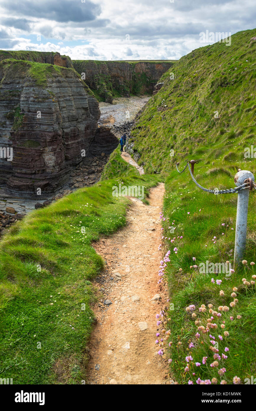 The footpath, with a chain handrail, on the Brough of Deerness, near ...
