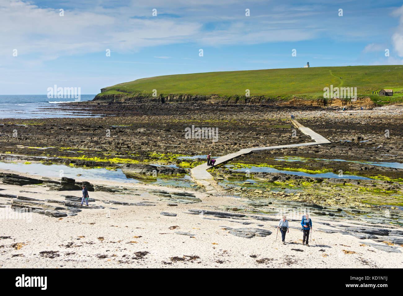 The causeway leading to the tidal island of the Brough of Birsay ...