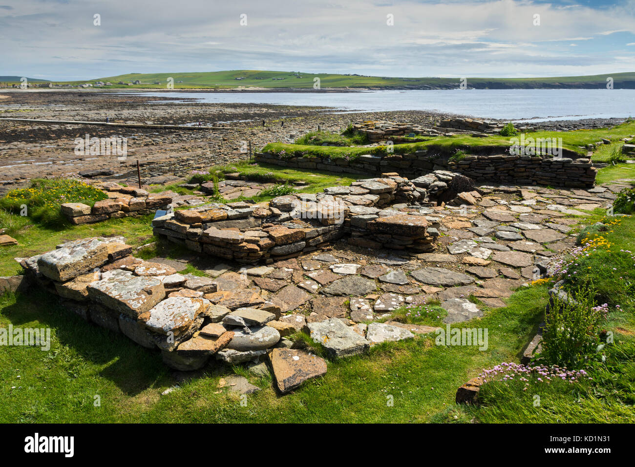 Remains of Celtic and Viking settlements on the Brough of Birsay ...