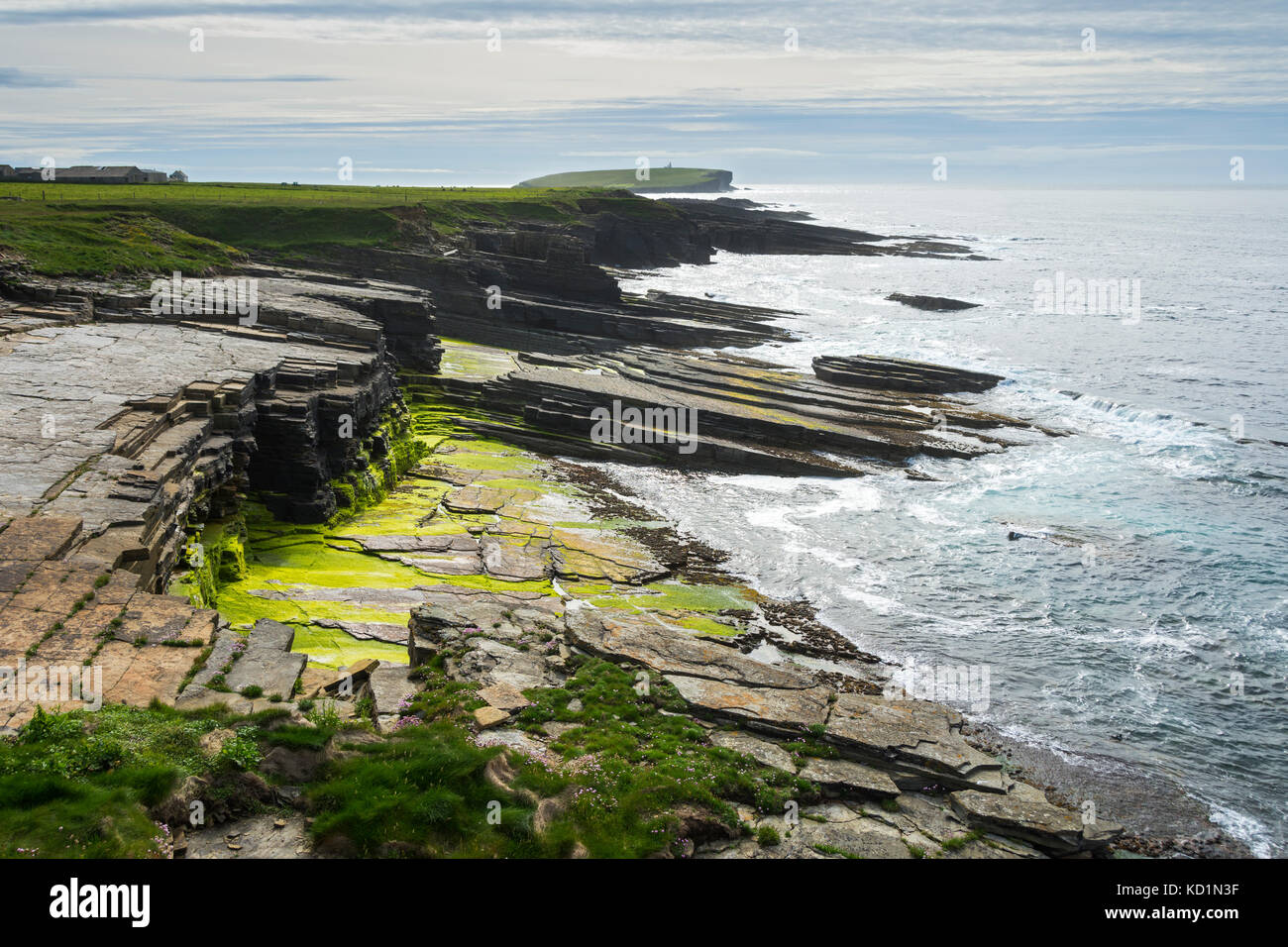 Brough of Birsay from the east, Orkney, Scotland, UK Stock Photo - Alamy