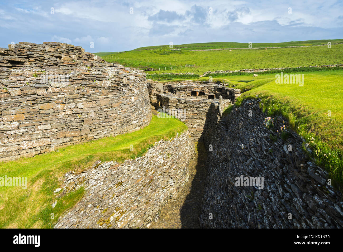 Pre history hi-res stock photography and images - Alamy