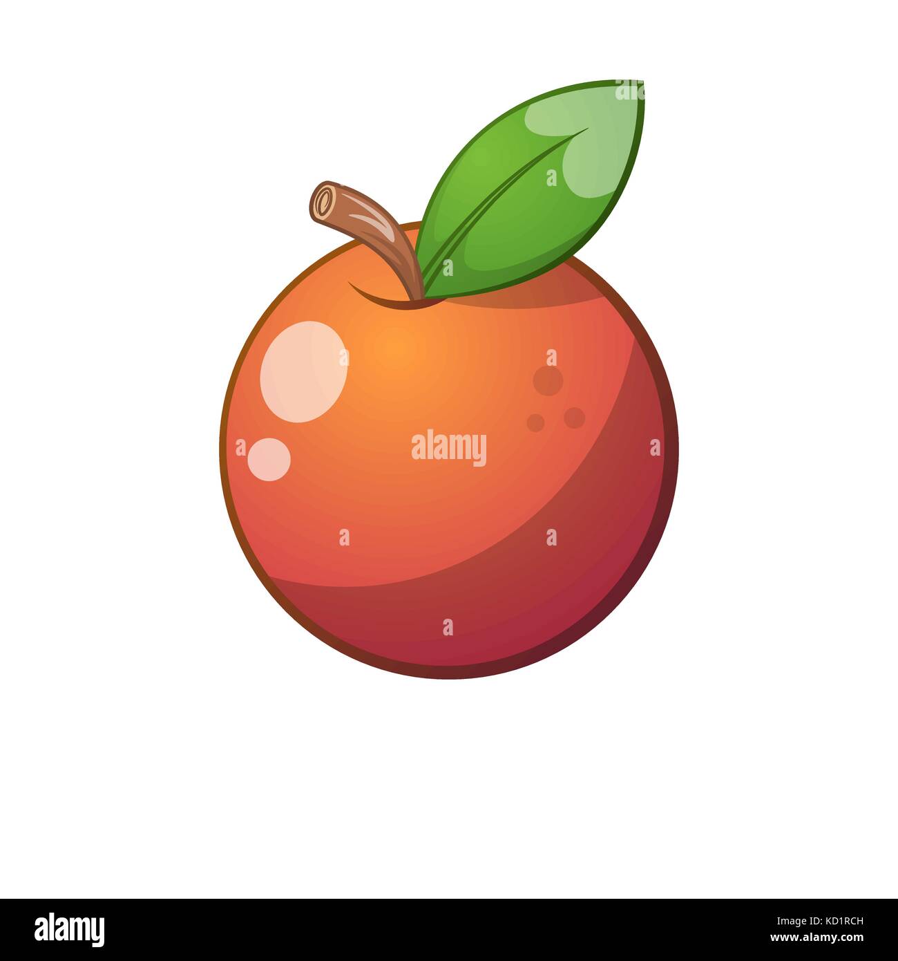 Whole orange fruit segment Stock Vector Images - Alamy