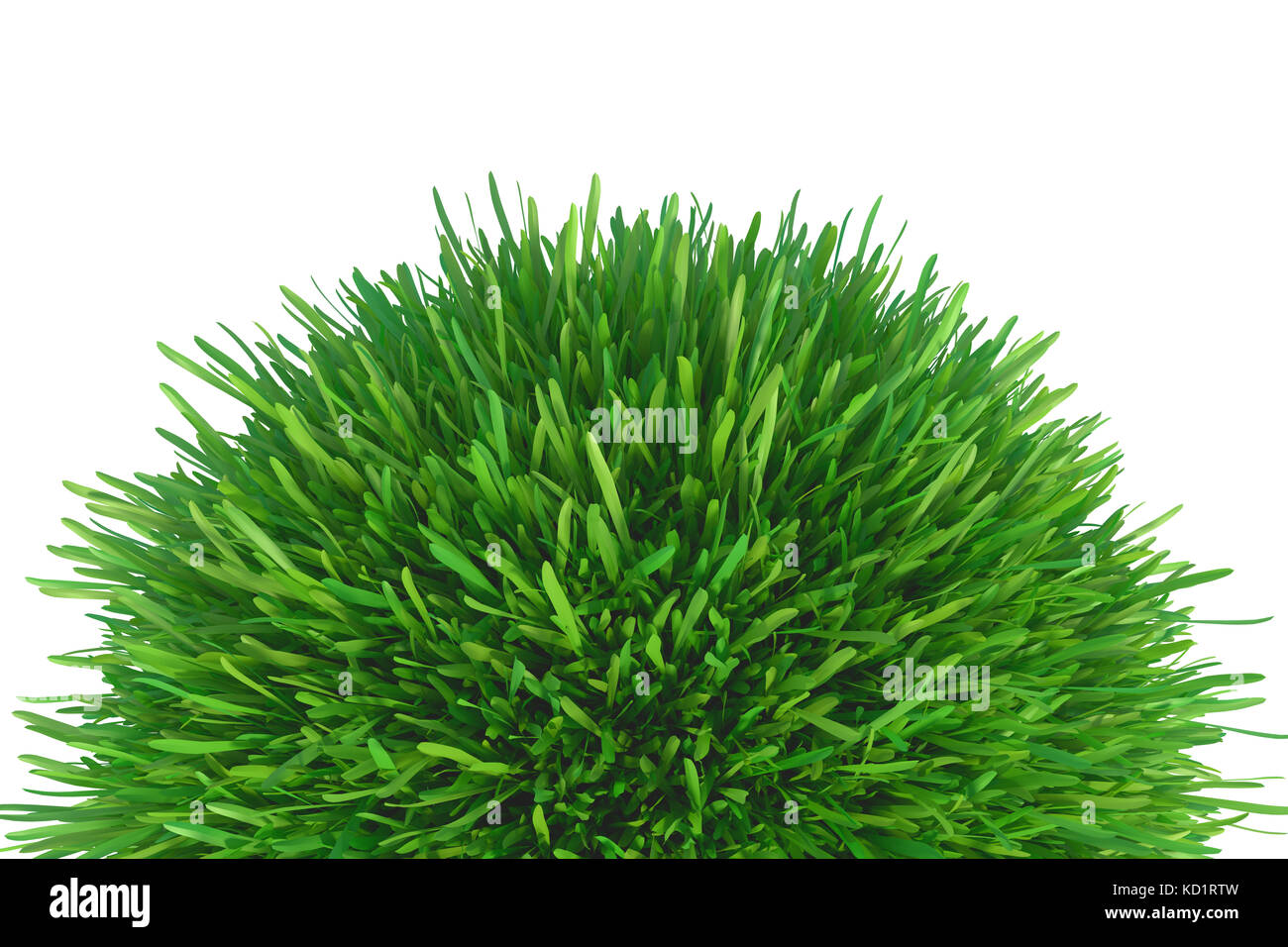 piece of cropped grass to be installed Stock Photo - Alamy
