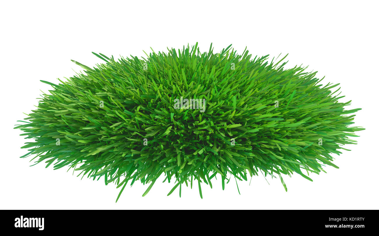 piece of cropped grass to be installed Stock Photo - Alamy