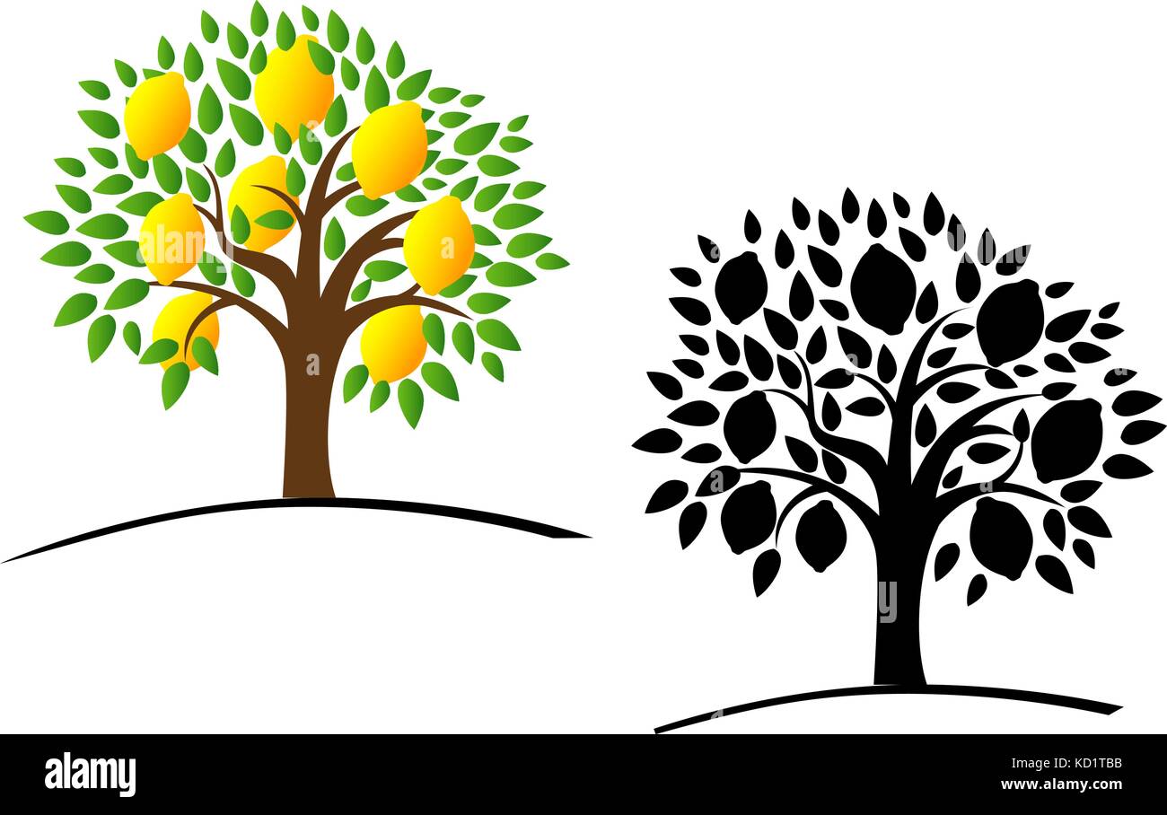 Small lemon tree Stock Vector Images - Alamy