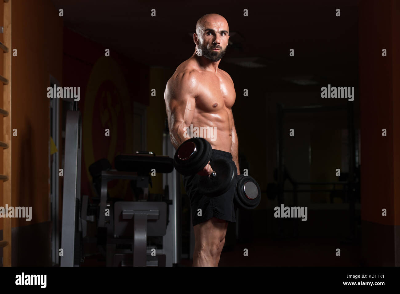 Athlete Working Out Biceps In A Gym - Dumbbell Concentration Curls ...