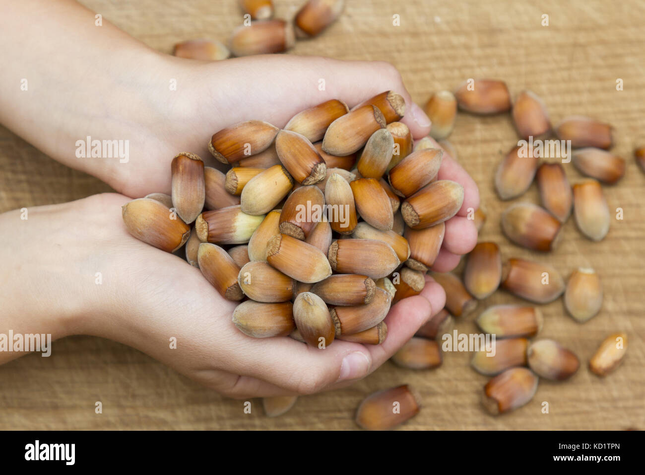 Hazelnuts; hand holding hazelnuts; healthy food Stock Photo - Alamy