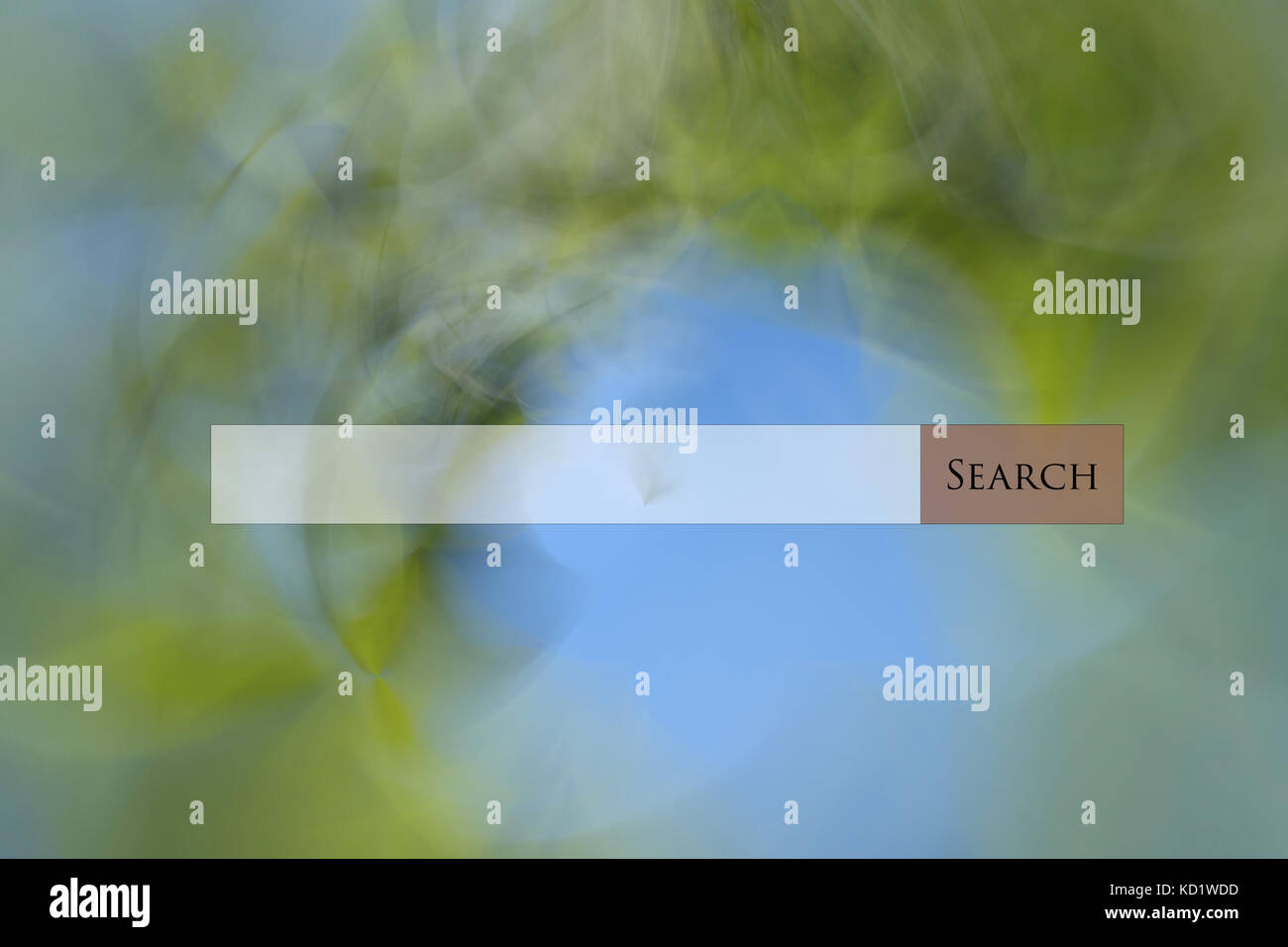 Search bar web on multi colored abstract background Stock Photo - Alamy
