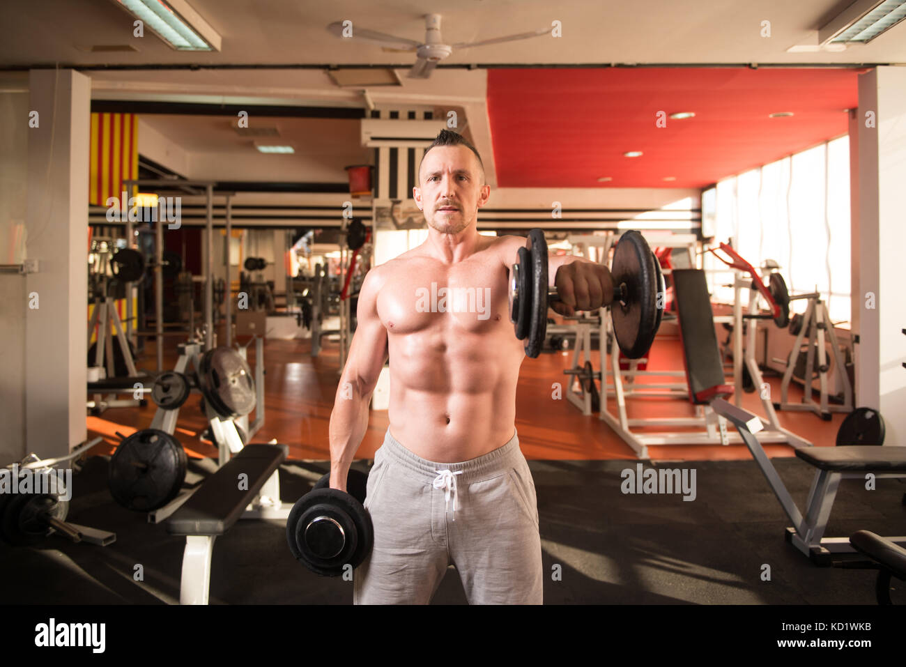 Man Working Out Biceps In A Gym - Dumbbell Concentration Curls Stock ...