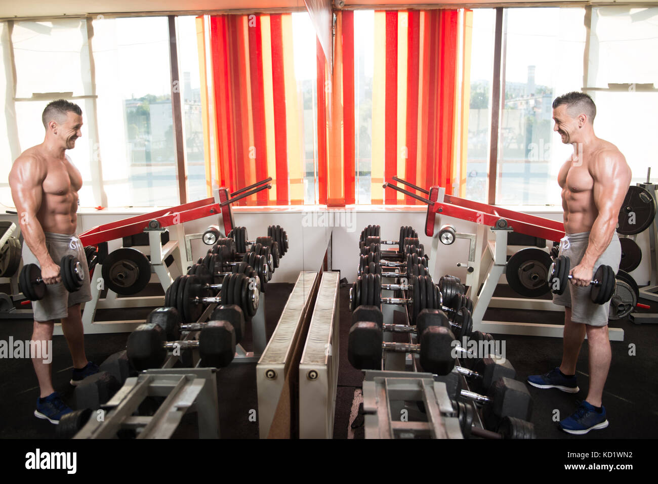 Man Working Out Biceps In A Gym - Dumbbell Concentration Curls Stock ...