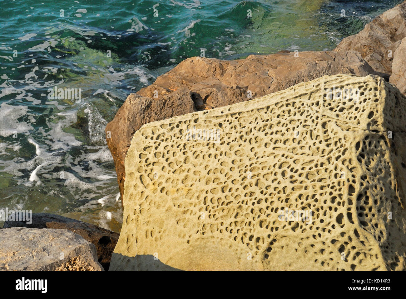The coast near Trieste, Italy. A rock chiseled by the erosion of the ...