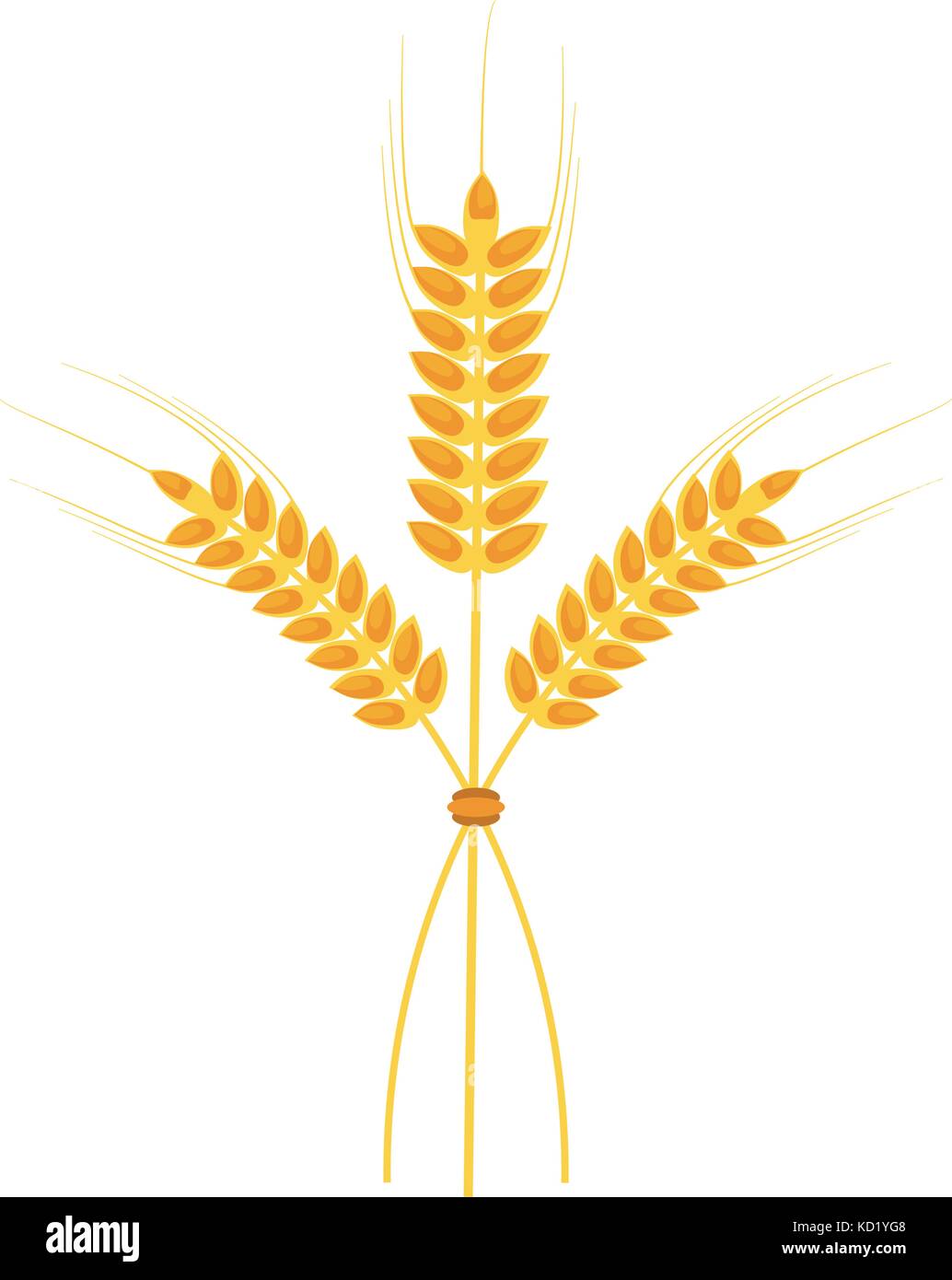 wheat ears icon image Stock Vector Image & Art - Alamy