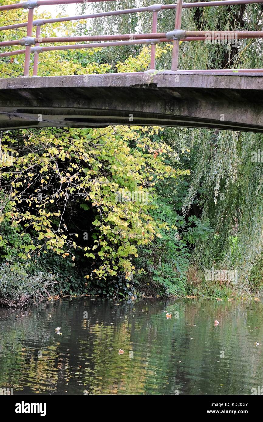 river mole autumn Stock Photo - Alamy
