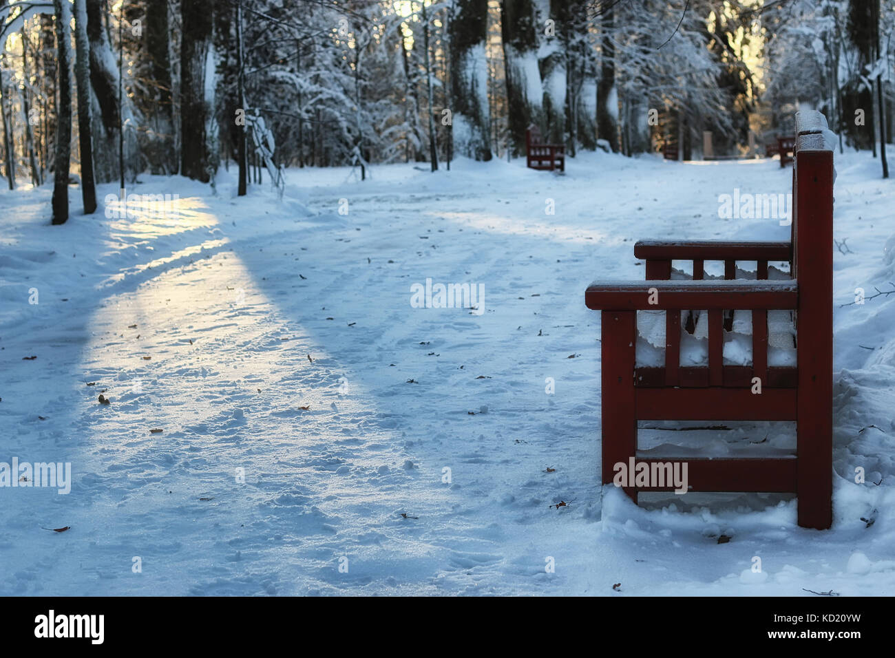 wood bench in winter Stock Photo - Alamy