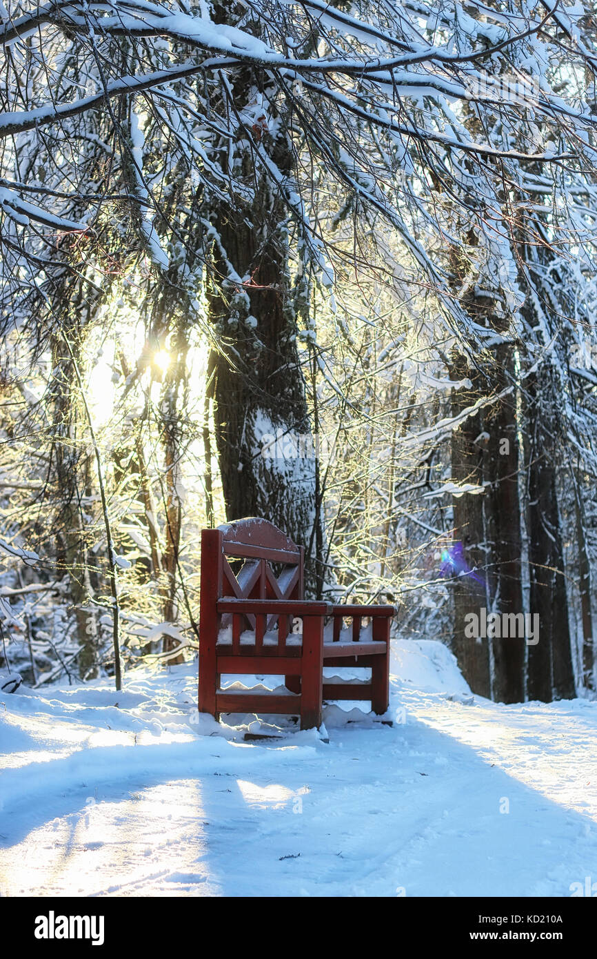 wood bench in winter Stock Photo - Alamy