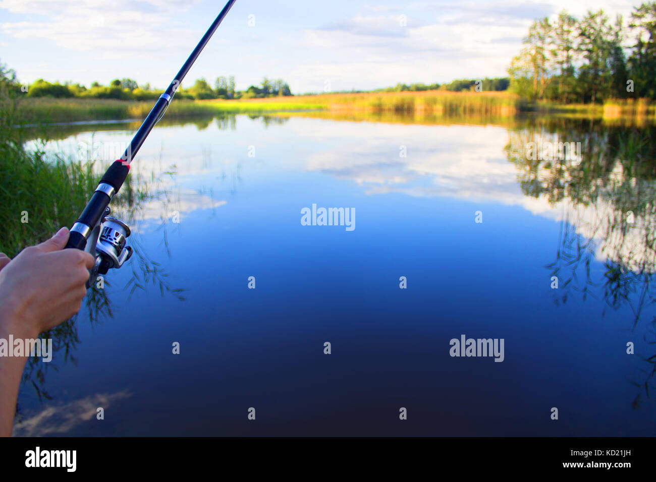 Bass fish guide hi-res stock photography and images - Alamy