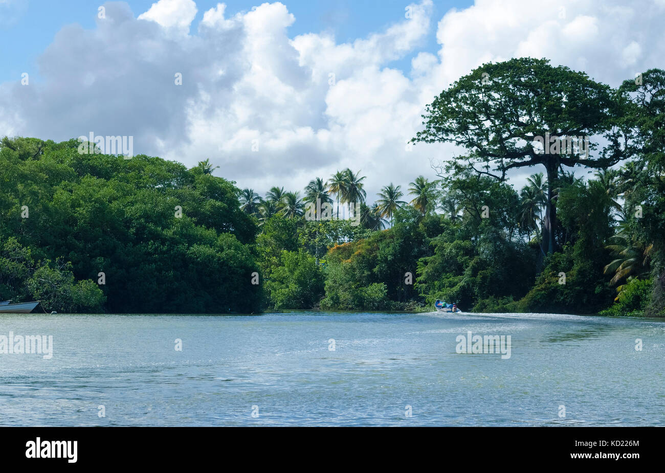 Going up the Nariva River on the east coast of Trinidad on a sunny day ...