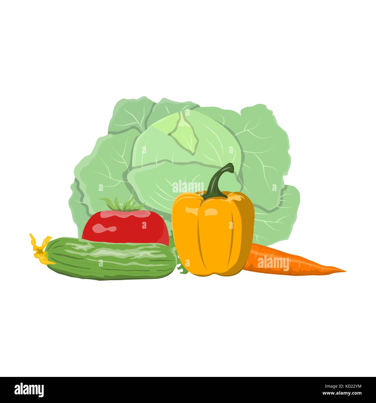 Fresh vegetables vector illustrations set on white background. Healthy ...