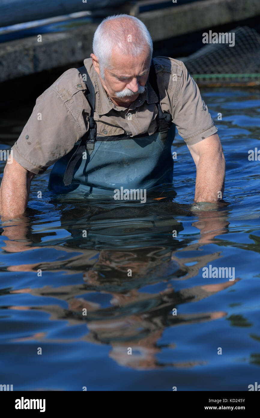 senior man in waders submerged in water Stock Photo - Alamy