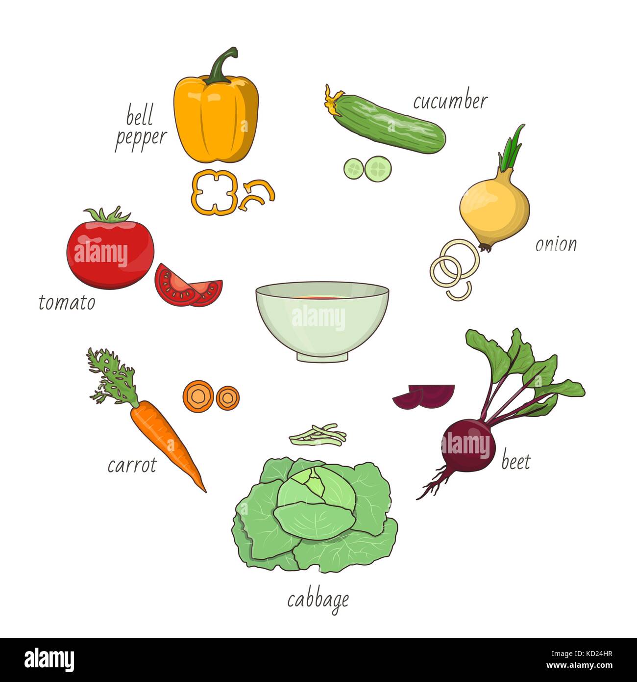 Vector illustration of ingredients for salad preparing on white ...